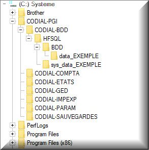 ARBORESCENCE INSTALLATION CODIAL – Le Petit Journal